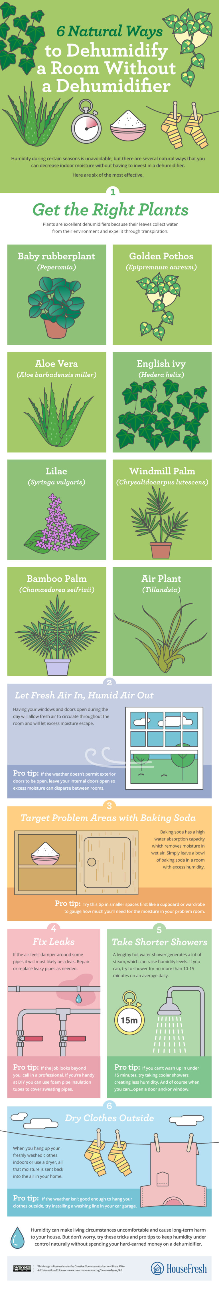 Natural ways to dehumidify a room without a dehumidifier