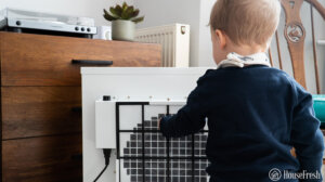 Smart Air Blast Mini Review - HouseFresh