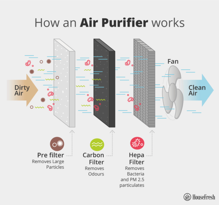 Air purifier vs ionizer: key differences - HouseFresh