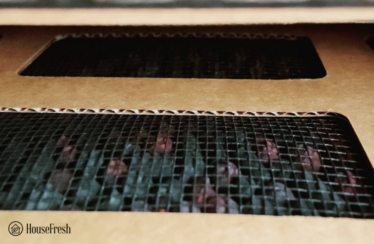 The air purifiers for bacteria and viruses you can trust