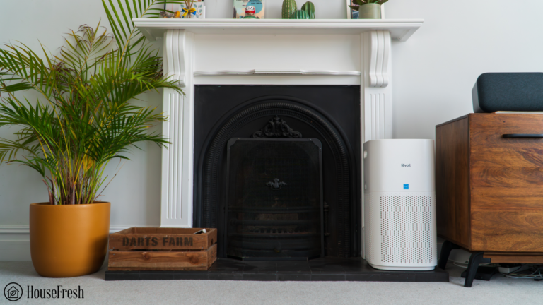 The best air purifiers for basements we tested at HouseFresh
