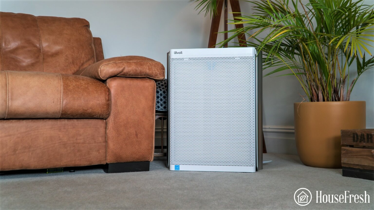 The ozone-free air purifiers you won't regret buying, ranked