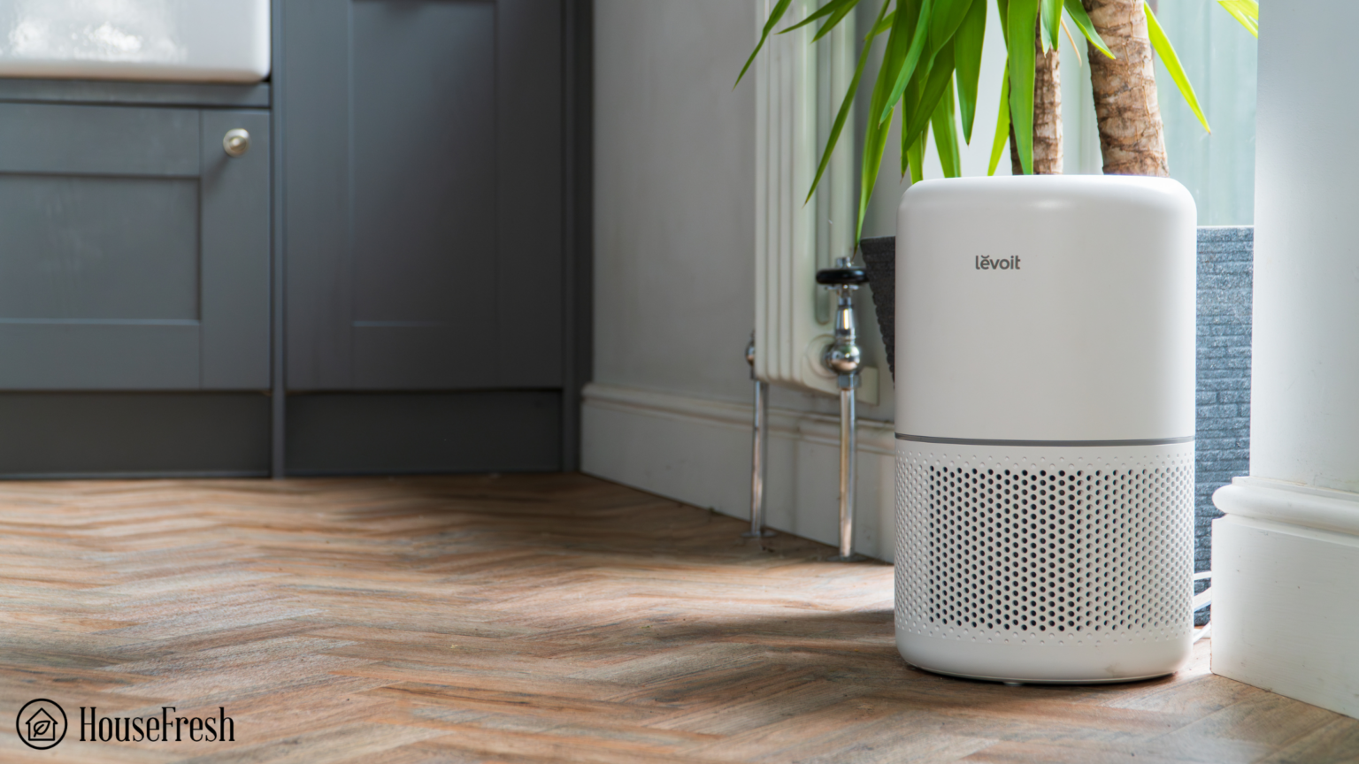 Struggling with litter box smell? Try these air purifiers