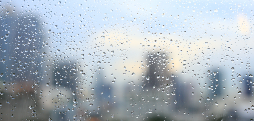 These are the most humid cities in the world - HouseFresh