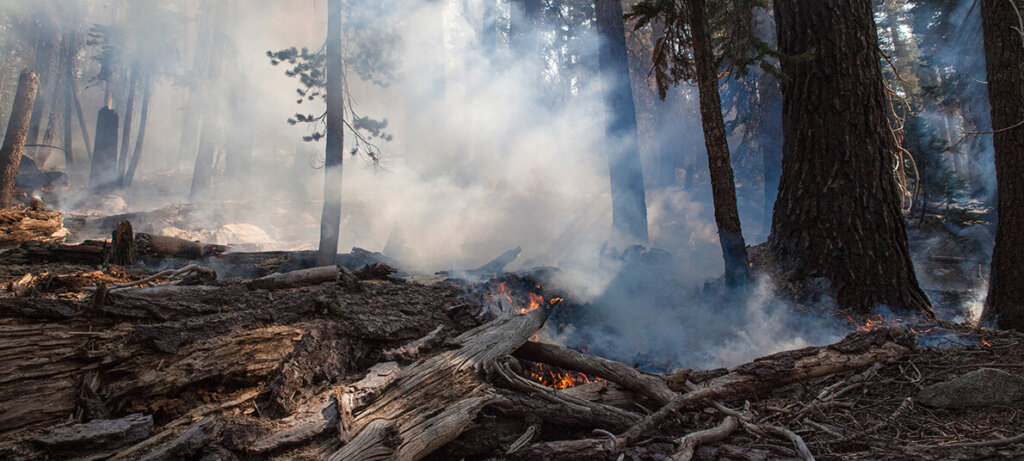 The U.S. wildfire index: How and where wildfires spread across America ...